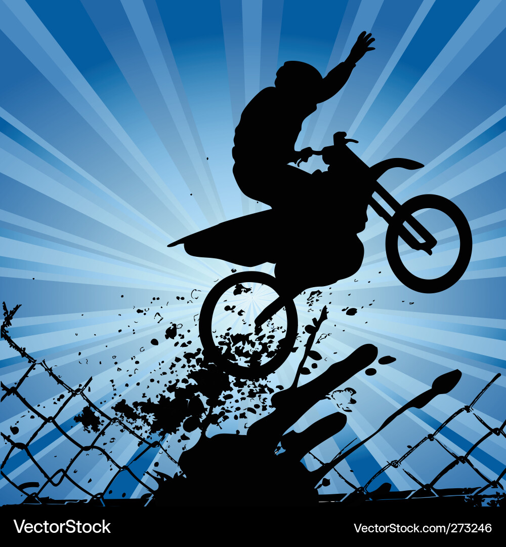 Bicycle Royalty Free Vector Image - VectorStock