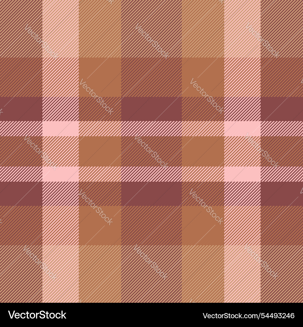 Platform check textile pattern tough plaid Vector Image