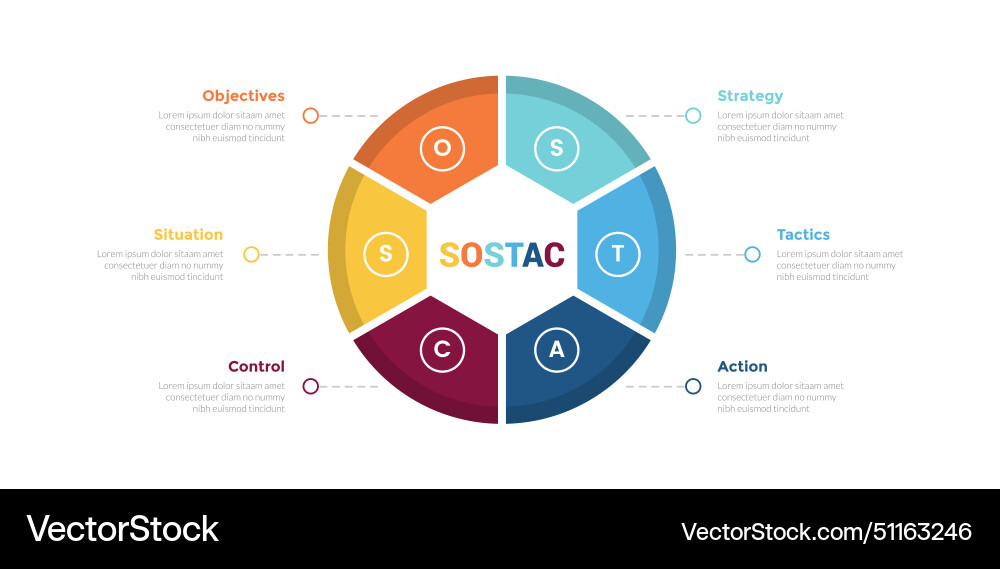 Sostac marketing planning infographics template Vector Image