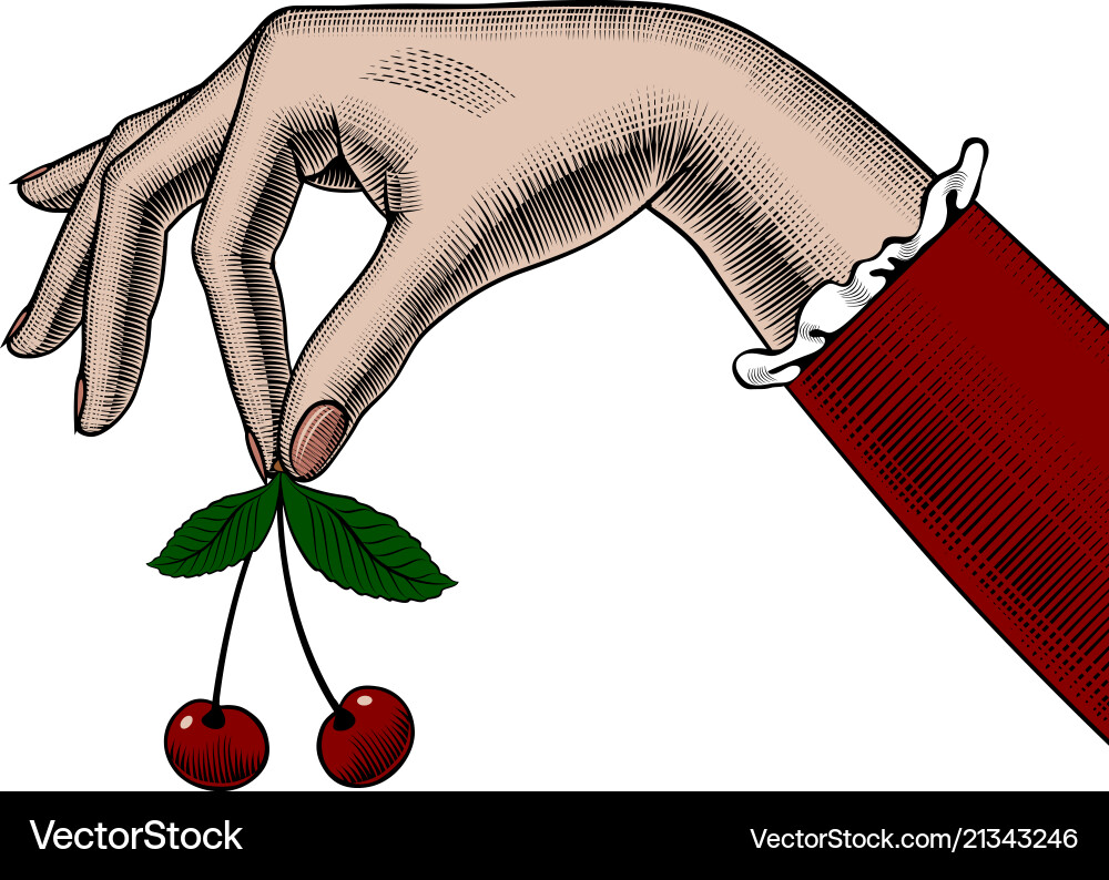 Womans hand holding cherries in her fingers Vector Image