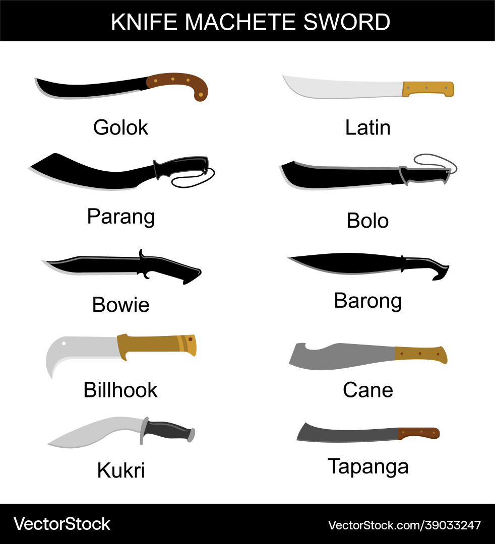 Knife machete sword infographics machetes Vector Image
