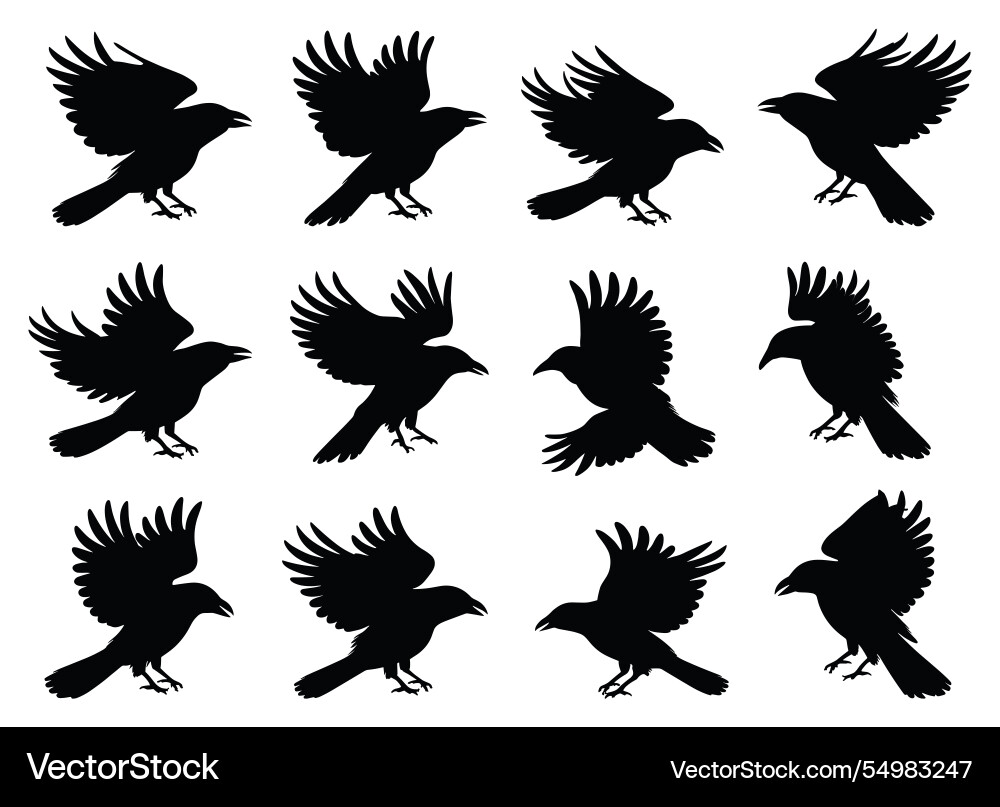 Silhouettes of Crows in Flight Royalty Free Vector Image