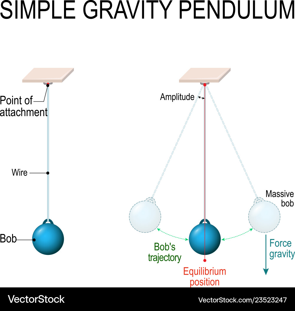 Simple gravity pendulum Royalty Free Vector Image