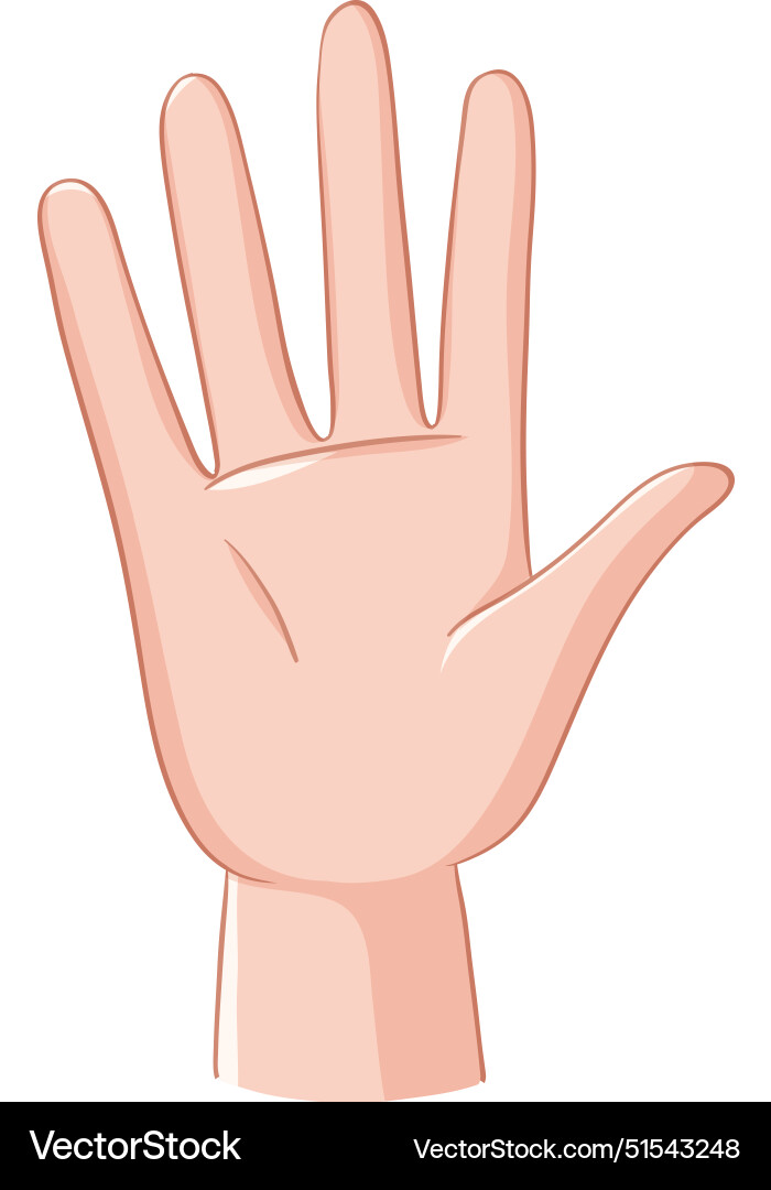 A detailed of an open hand Royalty Free Vector Image