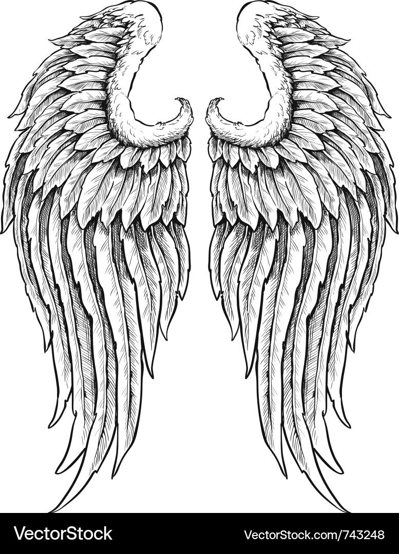 Fairy Wings Vector Images (over 19,000)