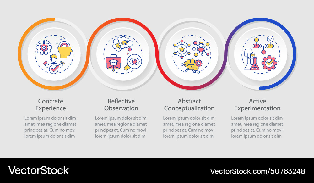 Kolbs experiential theory loop infographic Vector Image