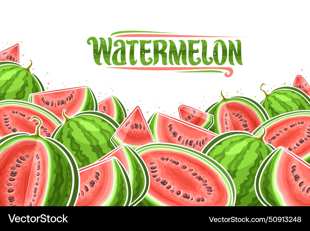 Watermelons Royalty Free Vector Image - VectorStock