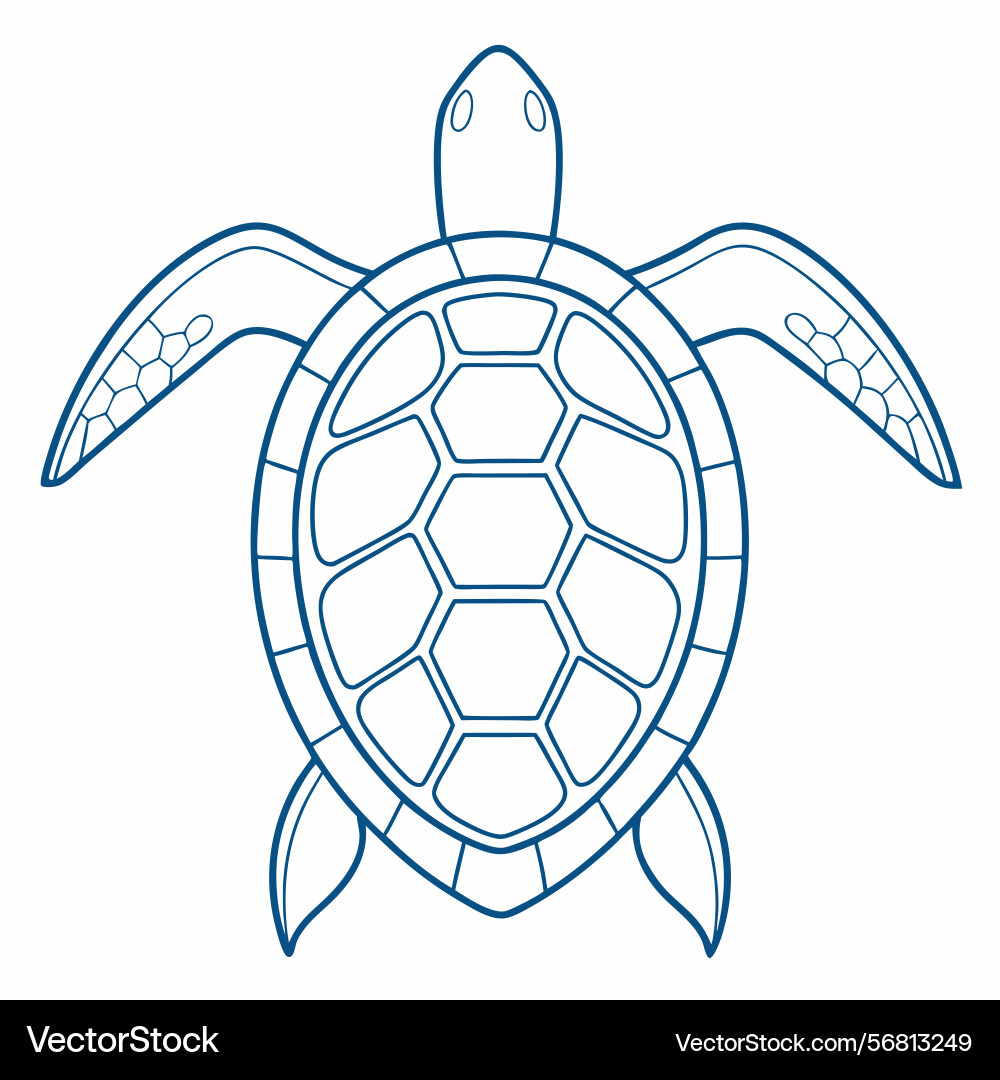 Blue line drawing sea turtle ocean animal Vector Image