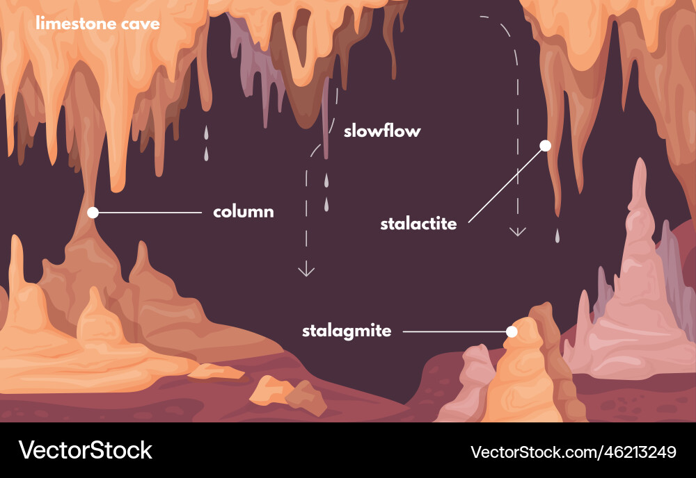 Stalagmite infographic stalagmites formations Vector Image
