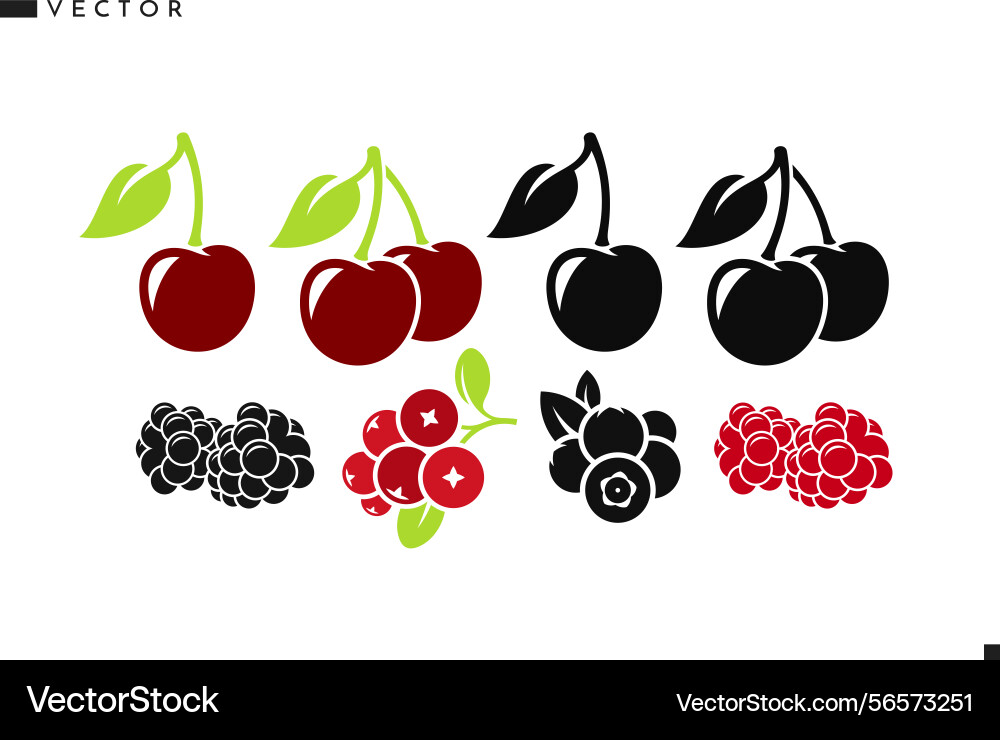 Berries Royalty Free Vector Image - VectorStock