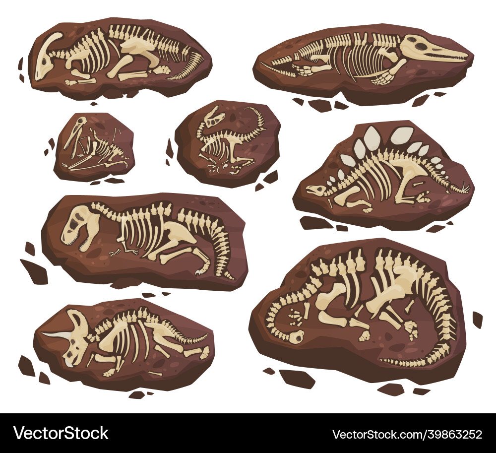 Brontosaurus Skeleton Vector Images (over 120)