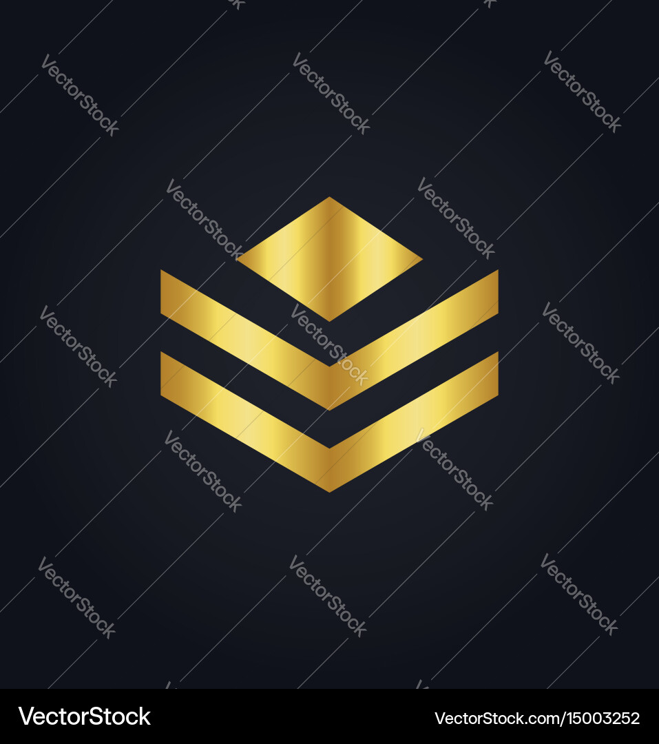 Shape polygon business gold logo Royalty Free Vector Image
