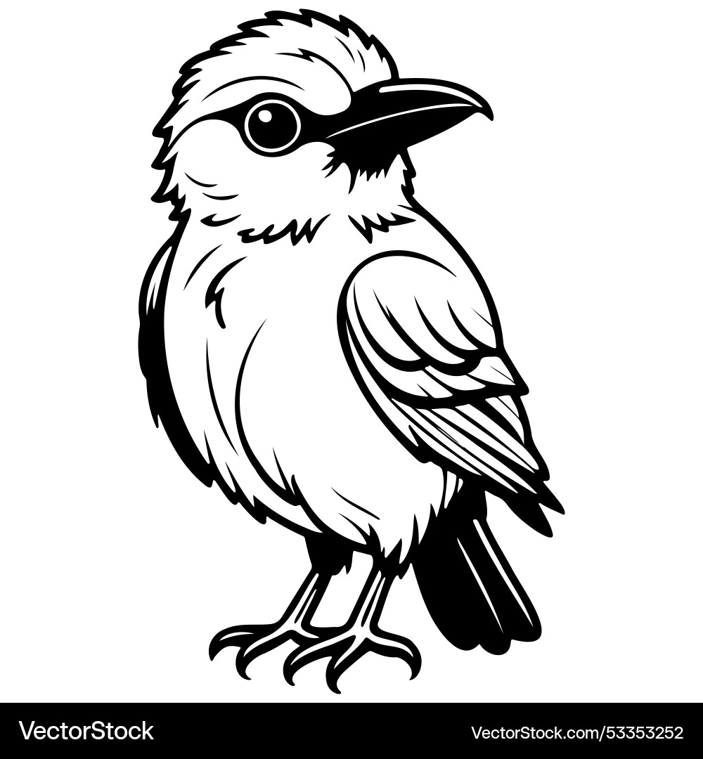 Sketches cartoon bird drawing line head art Vector Image