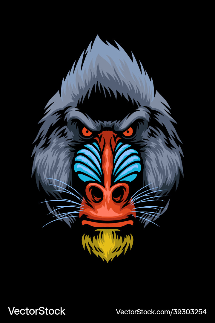 Hand drawn style of mandrill monkey head Vector Image
