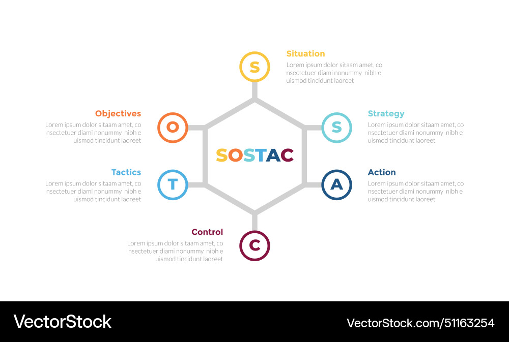Sostac marketing planning infographics template Vector Image