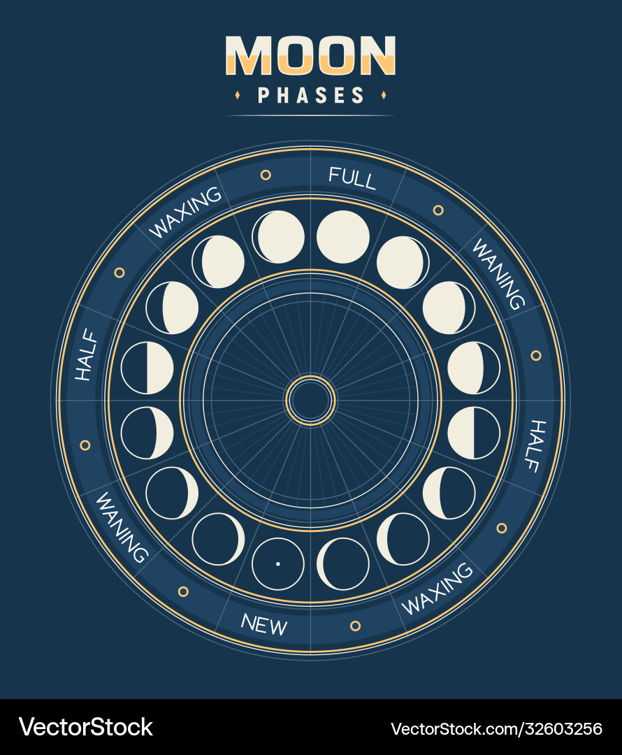 Lunar Phases Calendar Royalty Free Vector Image