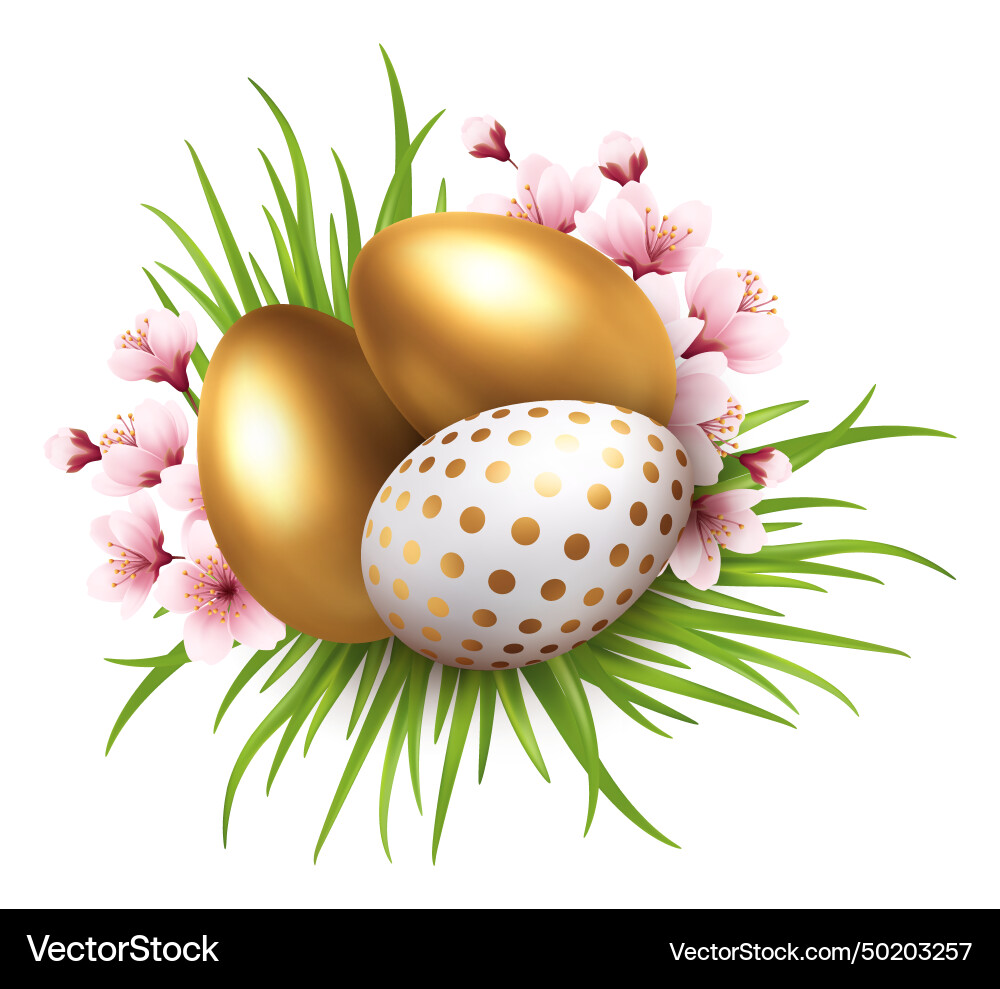 Easter egg cherry blossom flower Royalty Free Vector Image