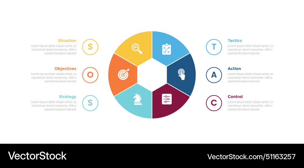 Sostac marketing planning infographics template Vector Image