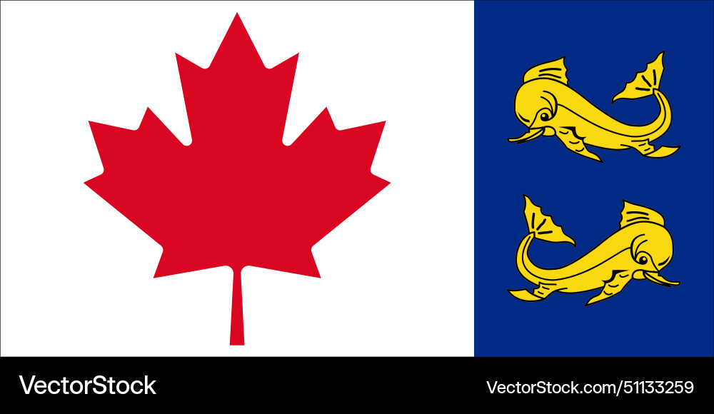 Canadian coast guard flag Royalty Free Vector Image