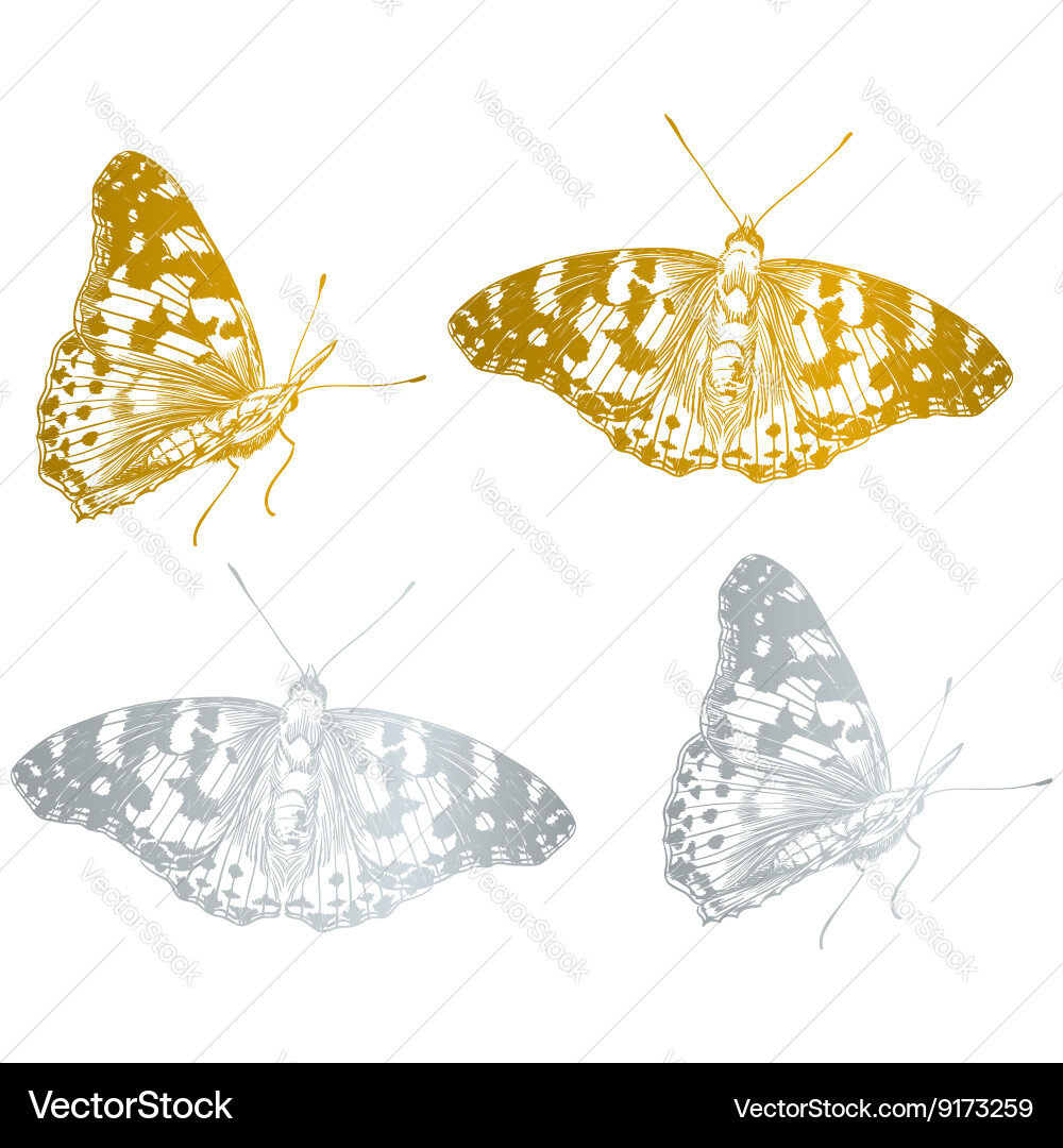 Gold beautiful butterfly set Royalty Free Vector Image