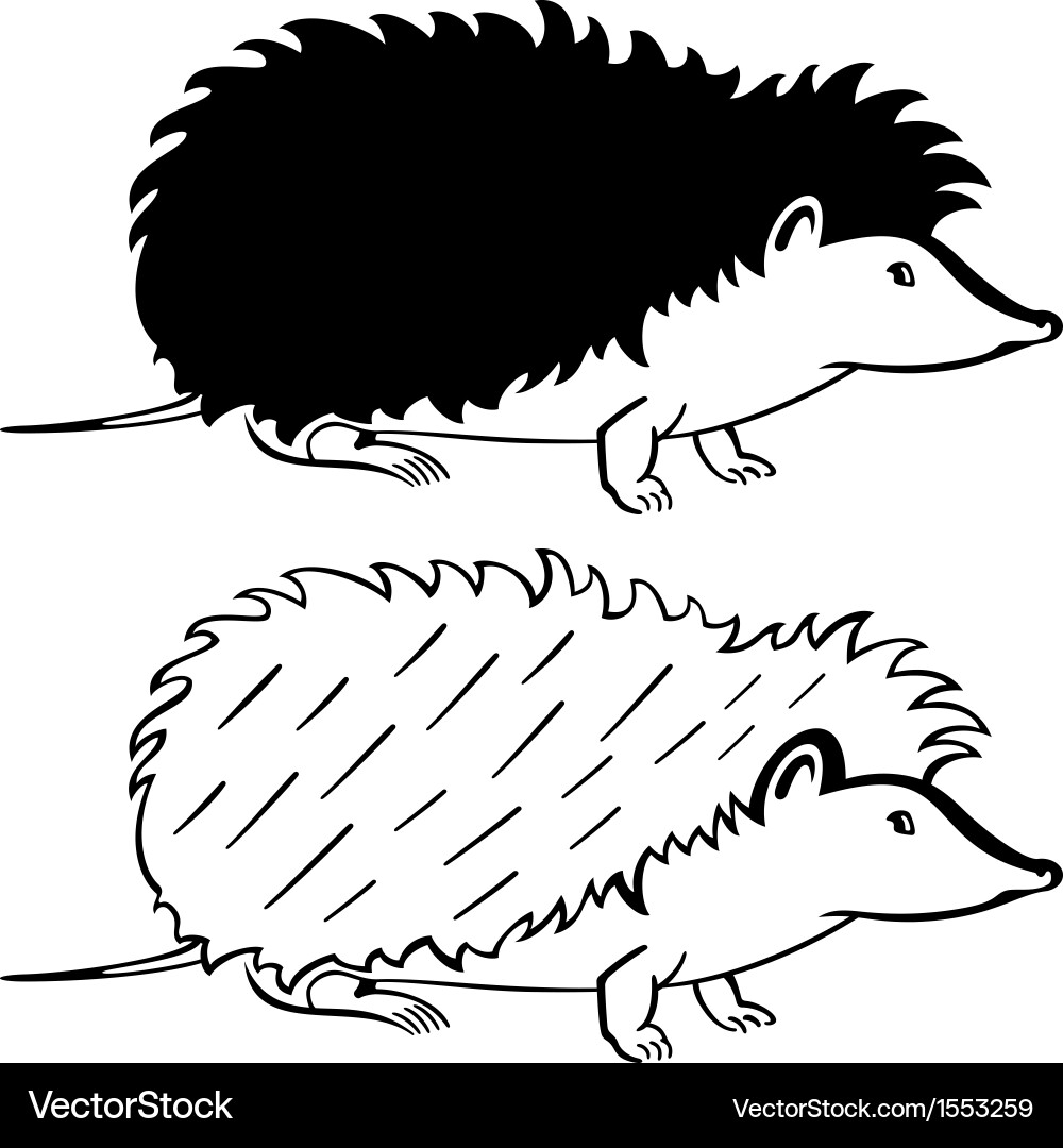 Hedgehog Royalty Free Vector Image - VectorStock