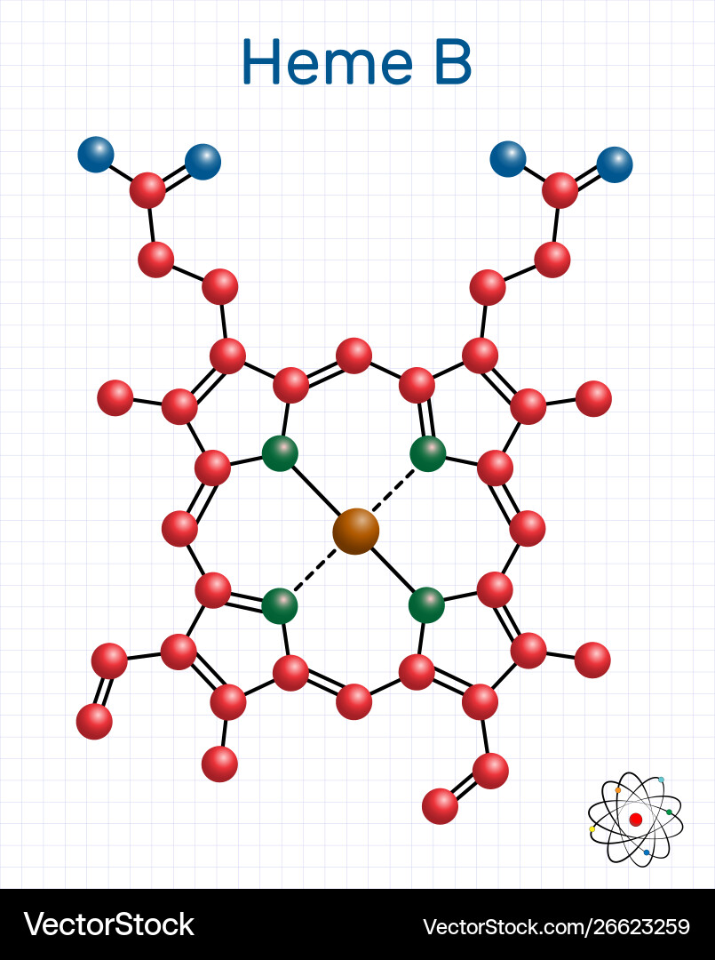 Heme b haem protoheme ix molecule Royalty Free Vector Image