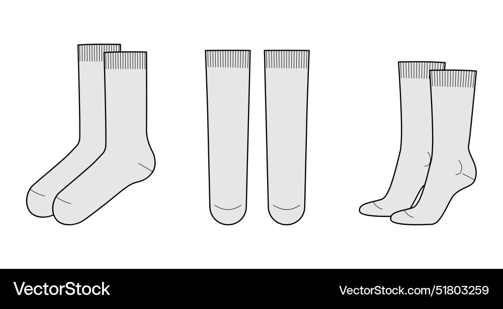 Mid Calf Socks Length Set Fashion Hosiery Vector Image