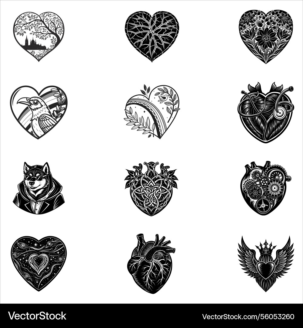 Anatomical heart bundle Royalty Free Vector Image