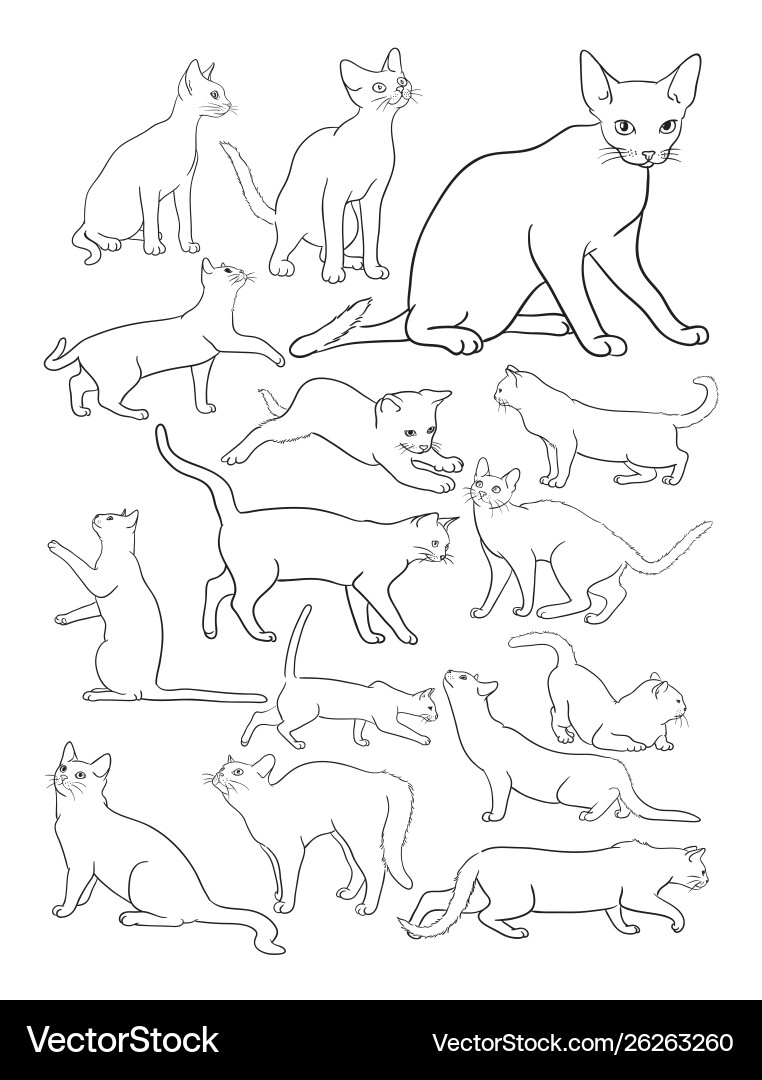 Cute Cat Line Art Royalty Free Vector Image - VectorStock