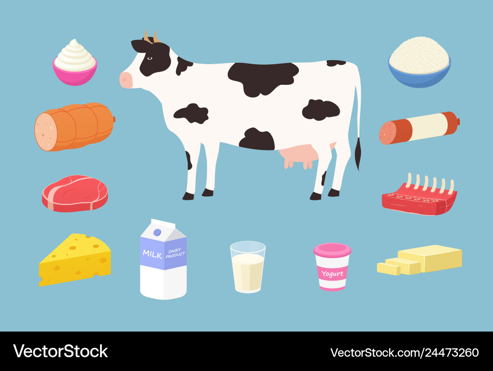 Dairy products and meat from cows Royalty Free Vector Image