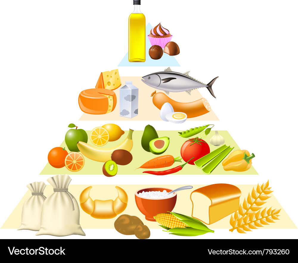 Food pyramid Royalty Free Vector Image - VectorStock