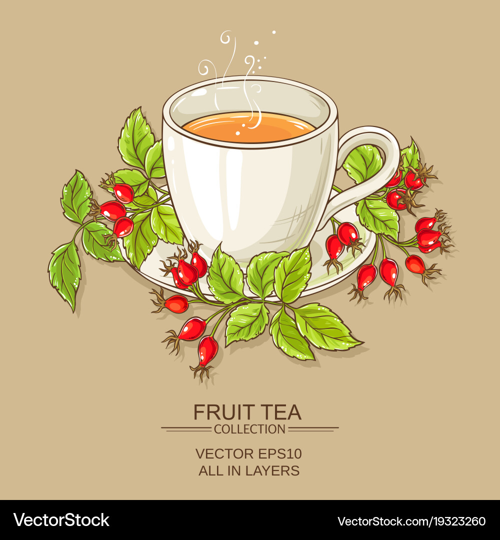 Mug of rose hips tea Royalty Free Vector Image