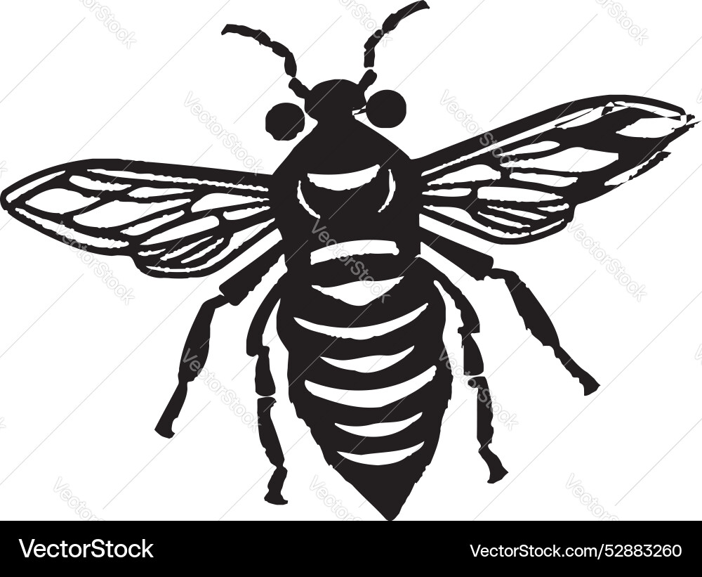 Wasps deadly lethality crest elegant avian Vector Image
