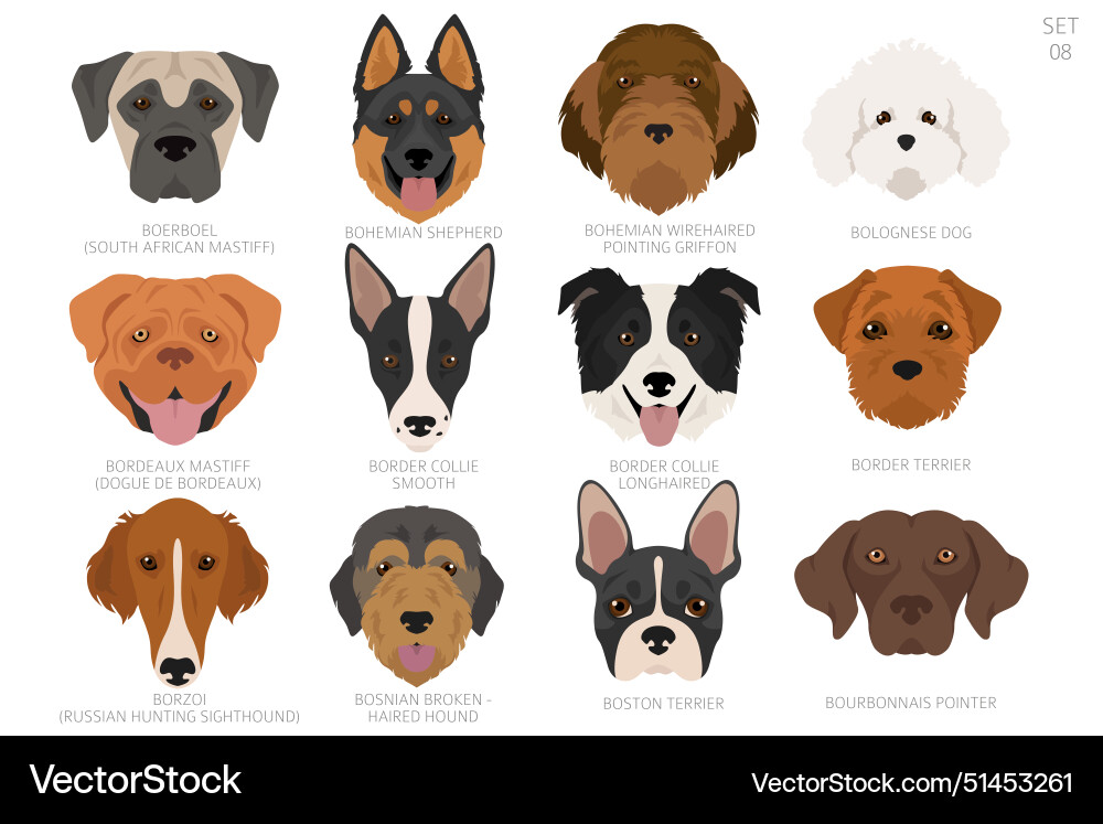 Dog head in alphabet order all breeds colour Vector Image