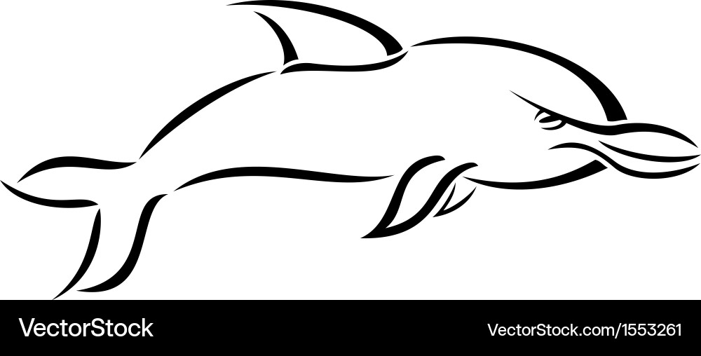 Dolphin Royalty Free Vector Image - VectorStock