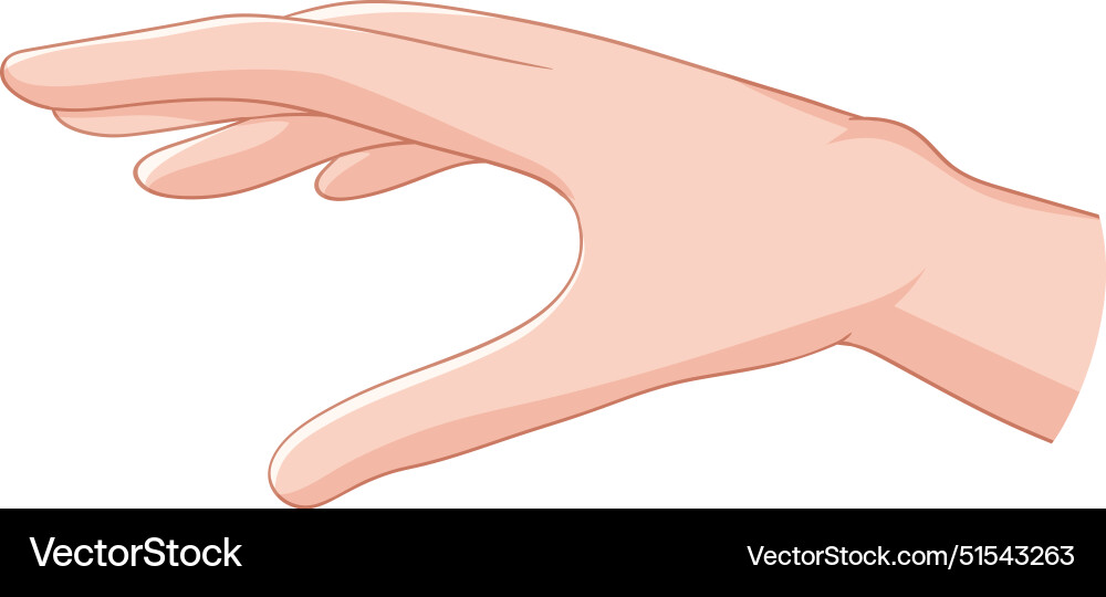 Detailed of a human hand Royalty Free Vector Image