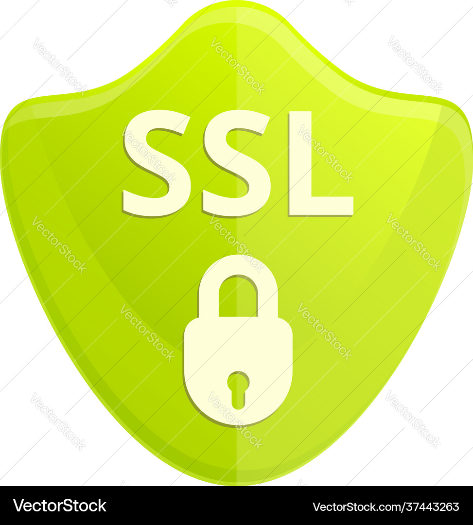 Https ssl certificate icon cartoon style Vector Image