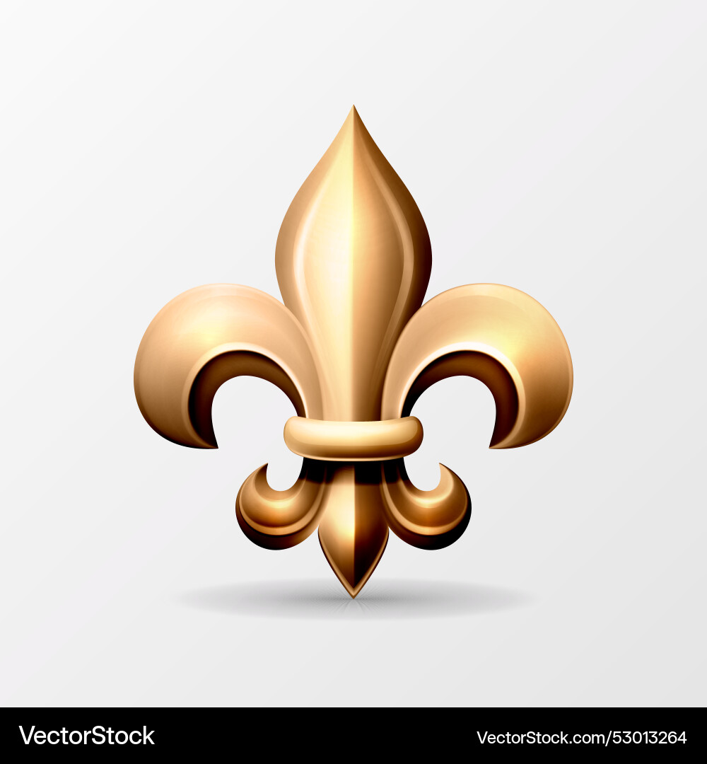 3d realistic golden fleur de lis icon closeup Vector Image