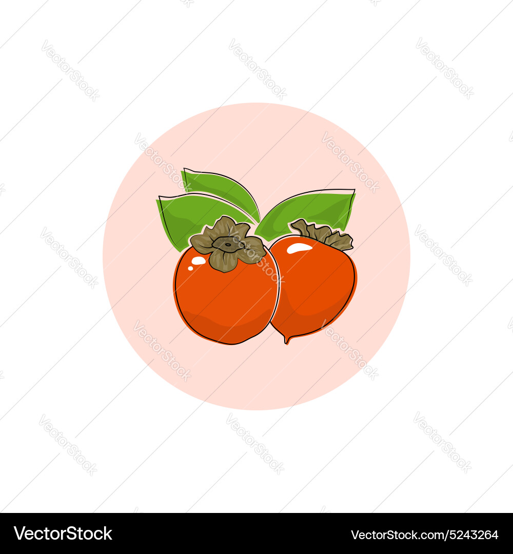 Colorful Persimmon Icon Royalty Free Vector Image