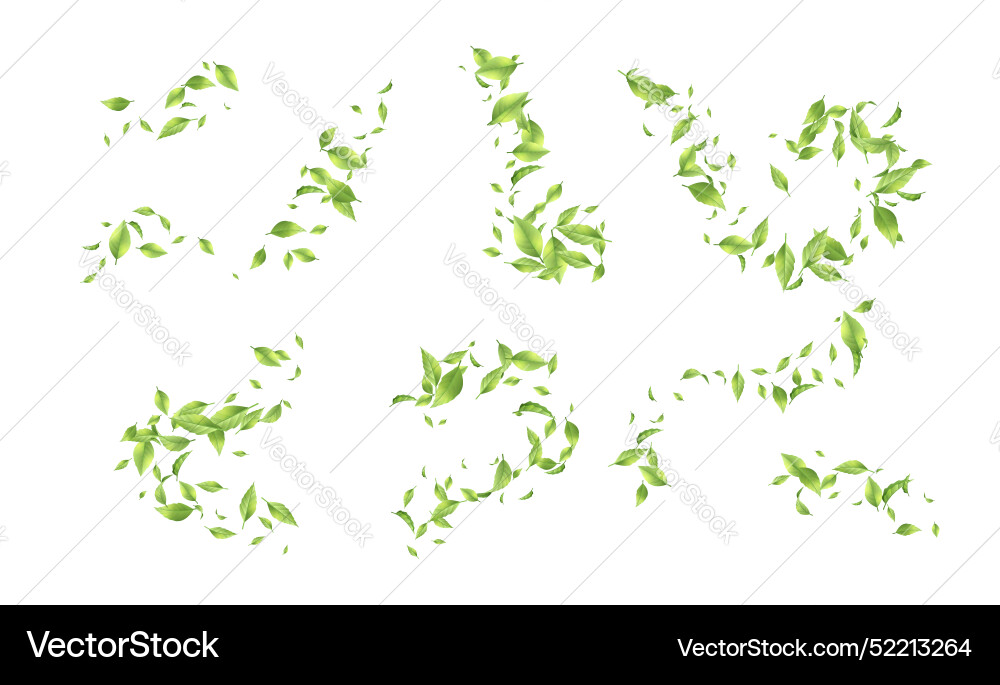 Green leaf background Royalty Free Vector Image