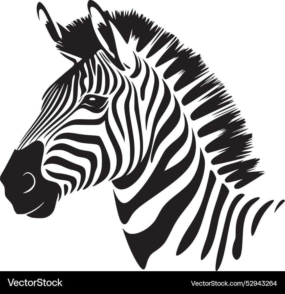 Zebra - high quality logo ideal for t-shirt Vector Image