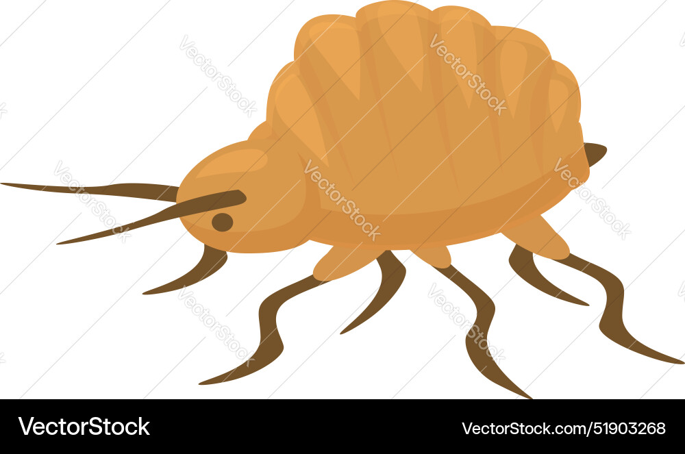 Flea insect is crawling on the ground Royalty Free Vector