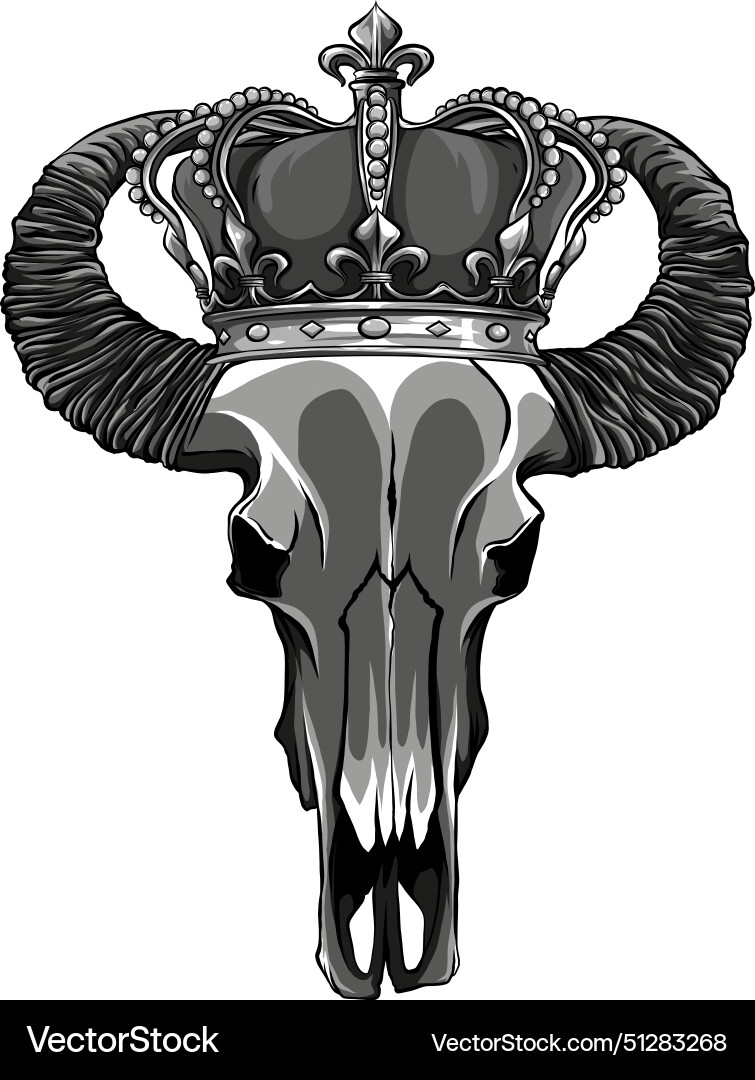 Monochrome buffalo skull Royalty Free Vector Image