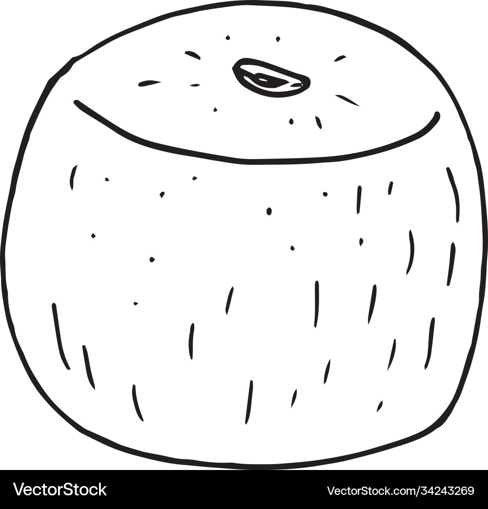 Traditional indian sweets sandesh sketch hand Vector Image
