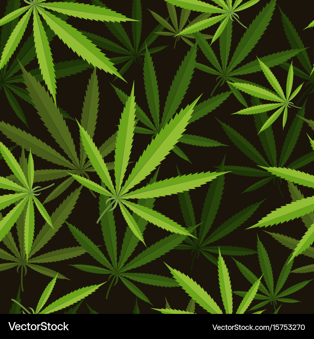Cannabis Leaf Pattern Royalty Free Vector Image