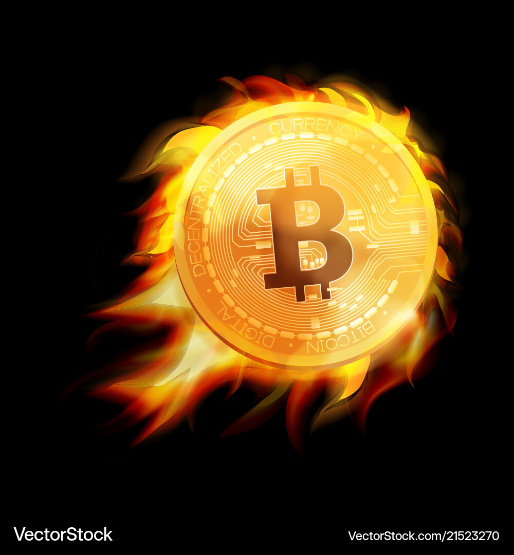 Flaming bitcoin gold coin symbol burning Vector Image