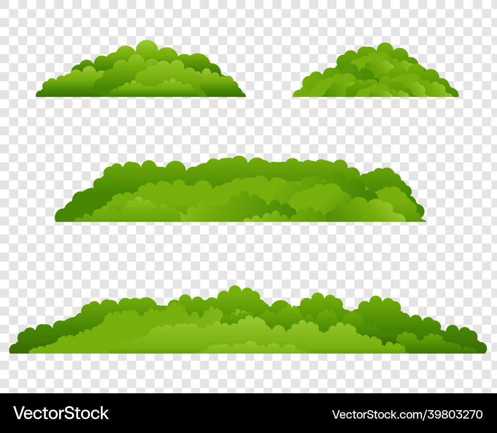 Green bushes isolated transparent background Vector Image