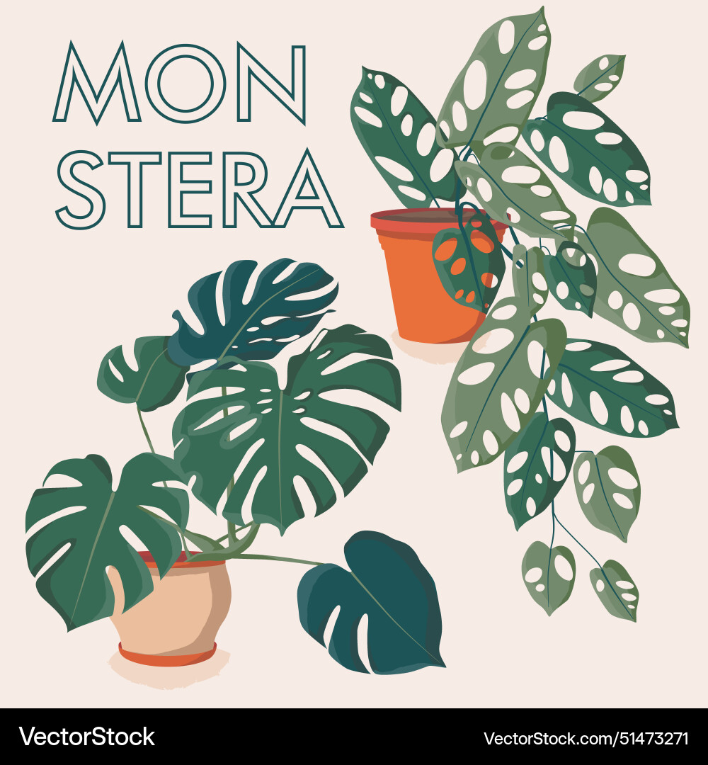 Monstera houseplants set in pot vase Royalty Free Vector