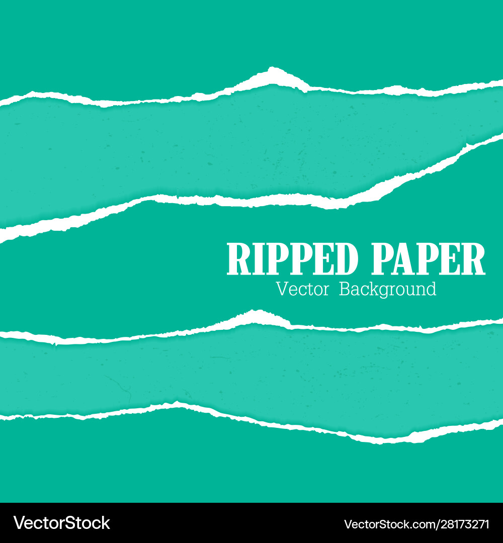 Ripped paper Royalty Free Vector Image - VectorStock