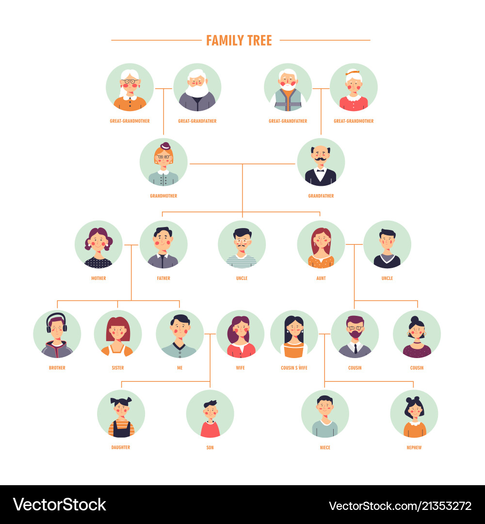 Family tree genealogy branches template Royalty Free Vector